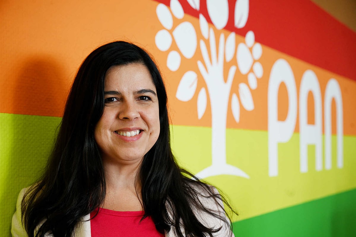 Inês Sousa Real volta a ser cabeça de lista do PAN por Lisboa e muda ...