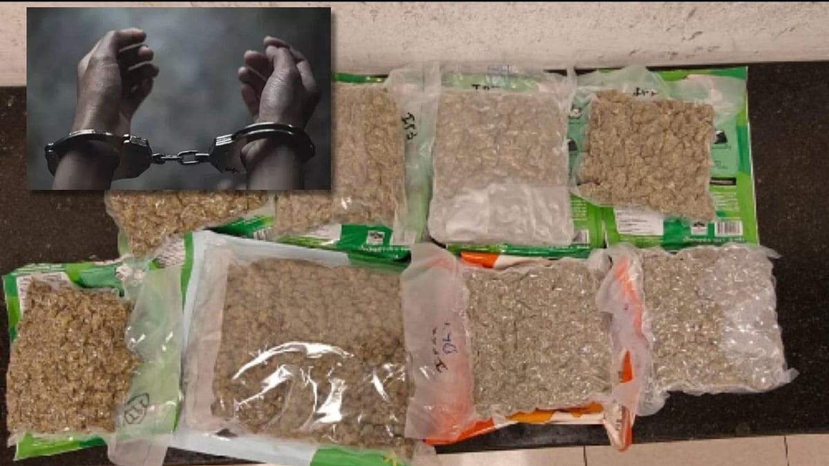 564 kg of ganja seized in Ramnad, 10 held