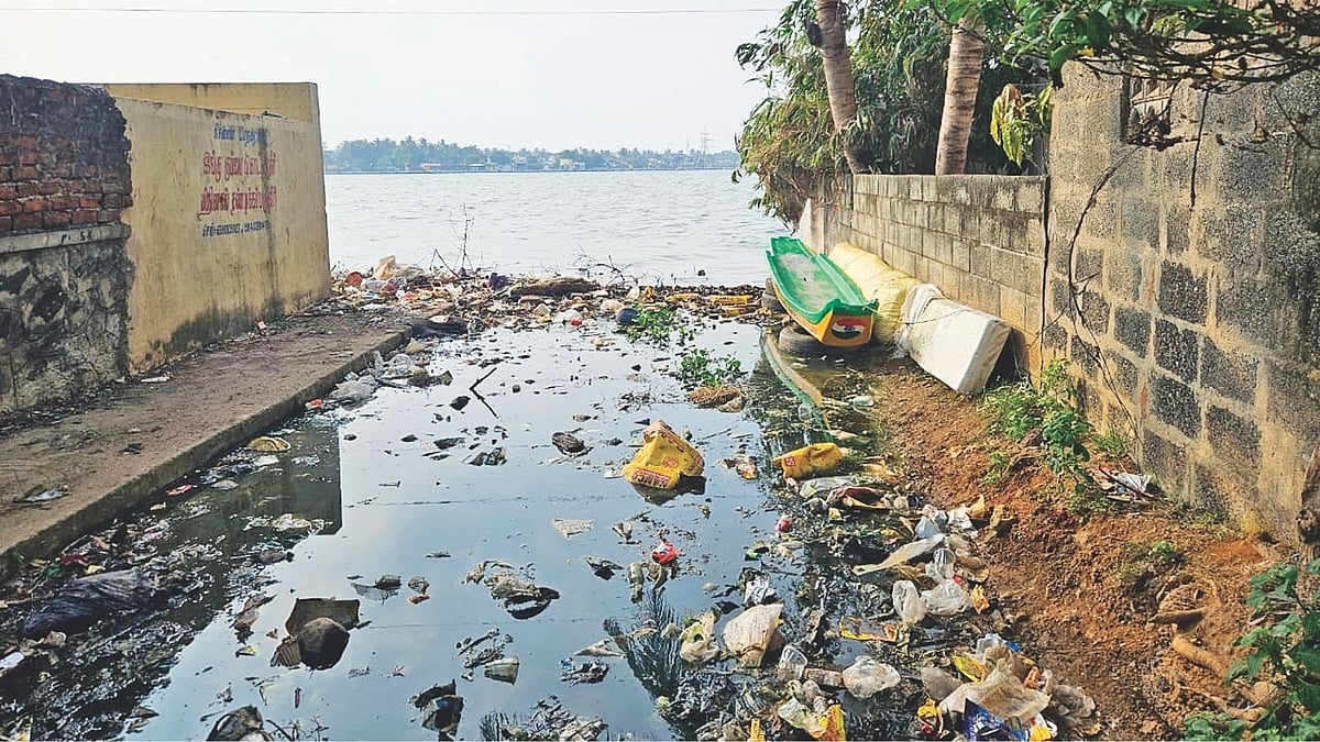 Puzhal Lake Pollution: Untreated Sewage Alarms Ambattur Residents