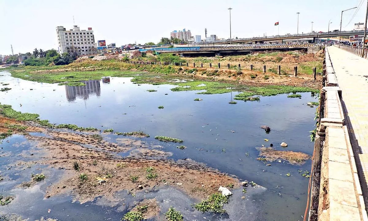 Schemes to restore Cooum, Adyar rivers up in the air