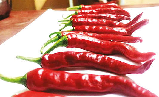 Virudhunagar Samba chilli, Puliyankudi lemon and Thooyamalli rice await ...
