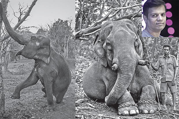 Photo series documents the bond between elephants and mahouts