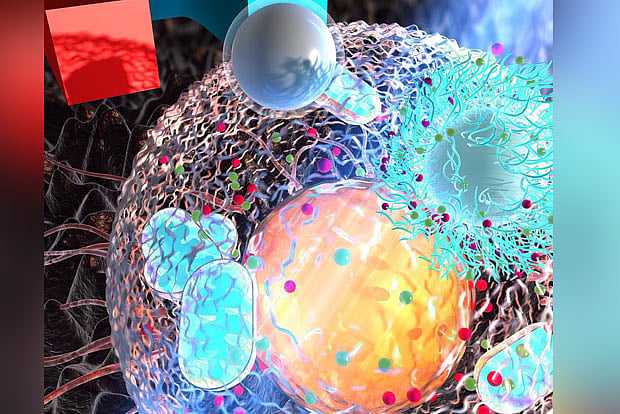 Researchers develop coating that kills coronavirus in 1 hour