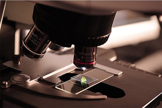 New computer program uncovers genetic changes that drive cancers