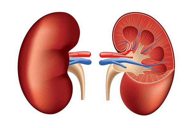 Mind, Body & Soul: ‘Proper functioning kidneys paramount for good health’