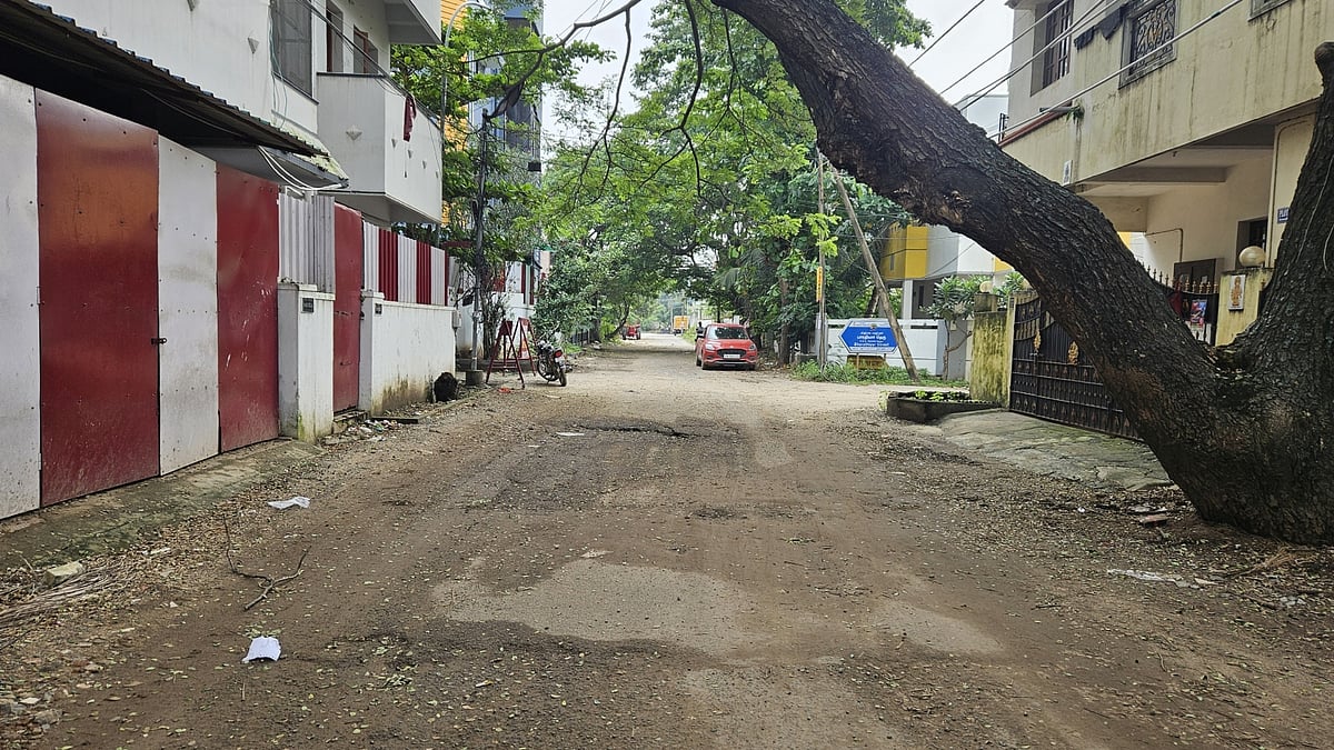 Chennai Citizen Connect: VGN Shanthi Nagar residents deprived of ...