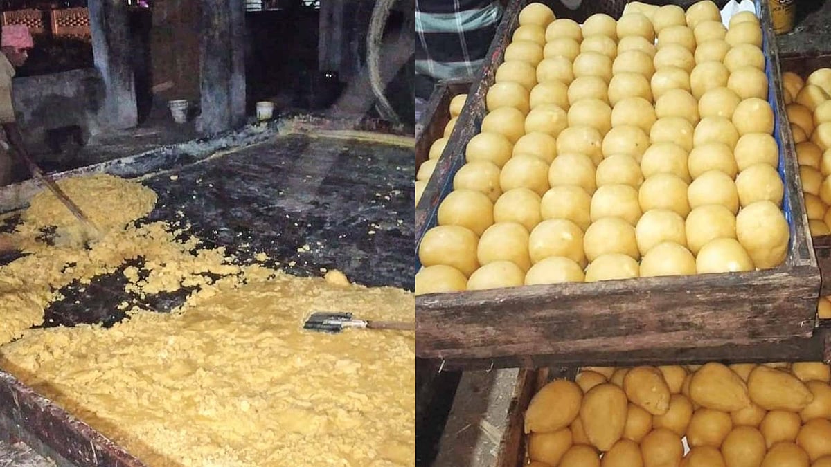 Tamil Nadu: Pongal damper but jaggery remains sweeter