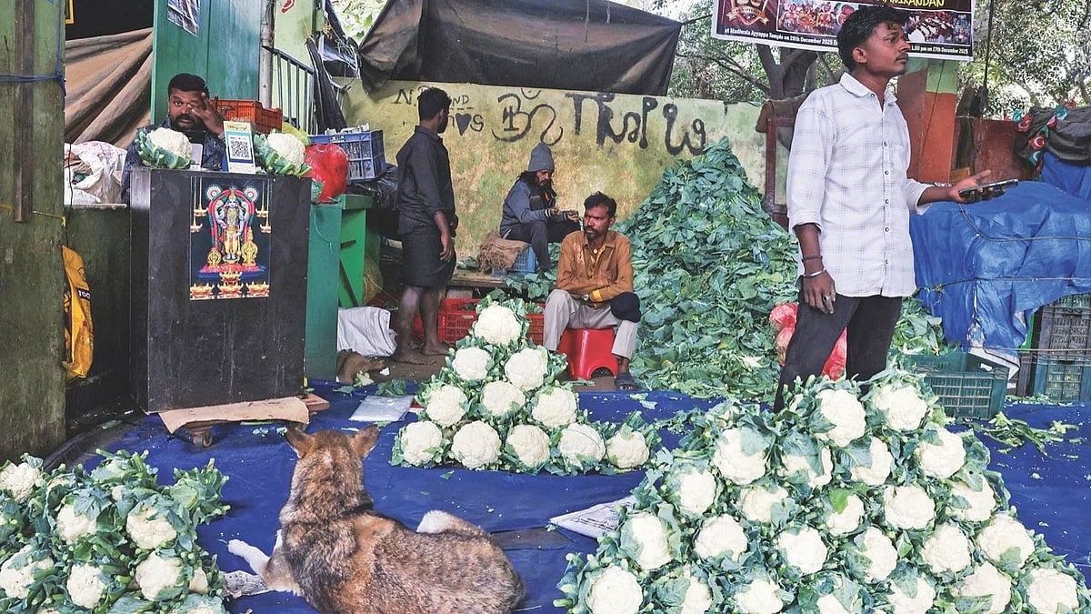 Retail inflation hits 1.33% in December; highest in 3 months