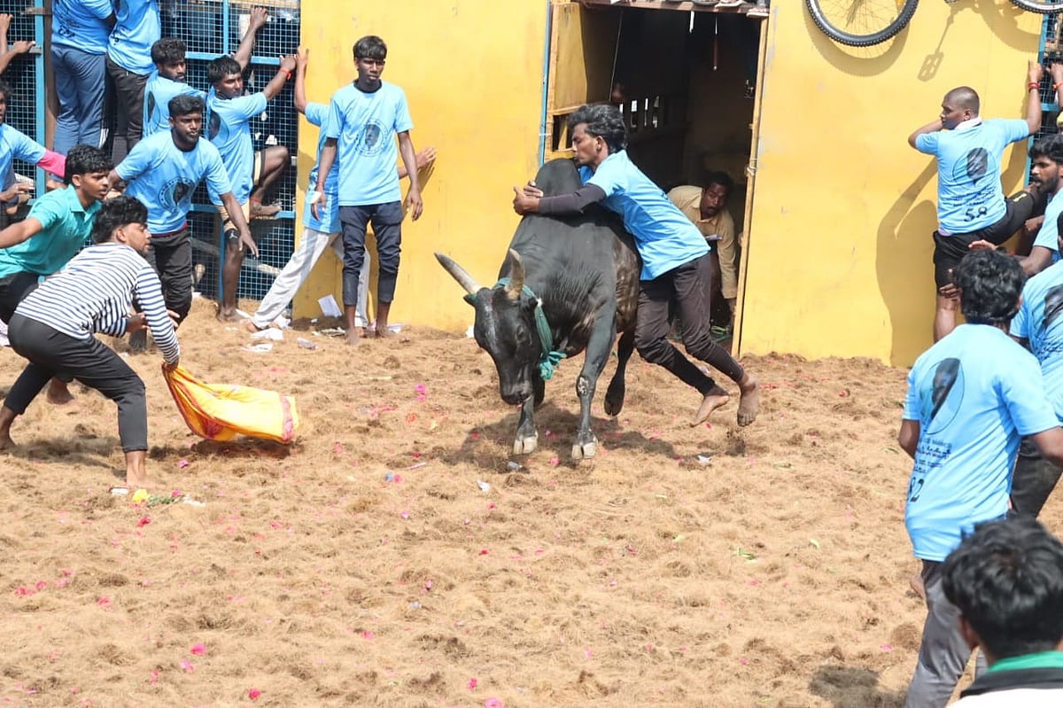 22 Injured at Srirangam Jallikattu Event: Six Hospitalized