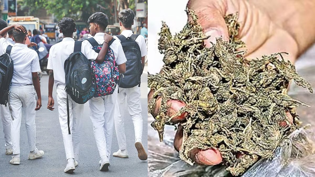 Chennai: Class 11 student caught with ganja in school