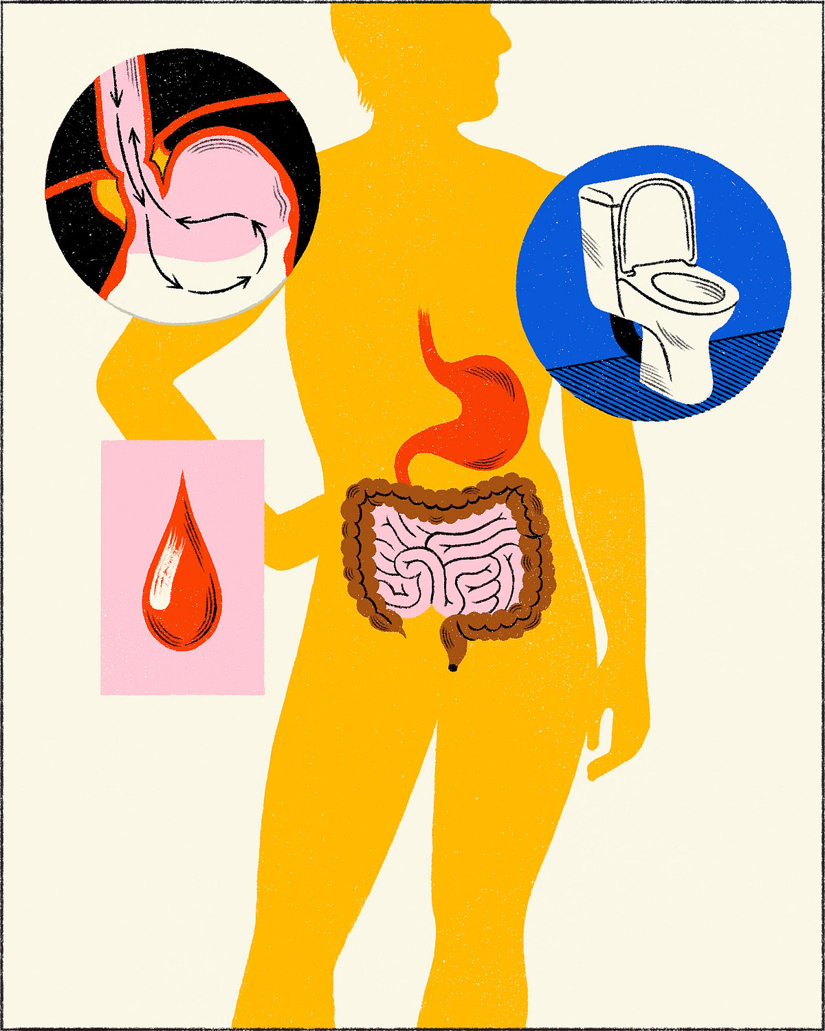 What alcohol does to the body