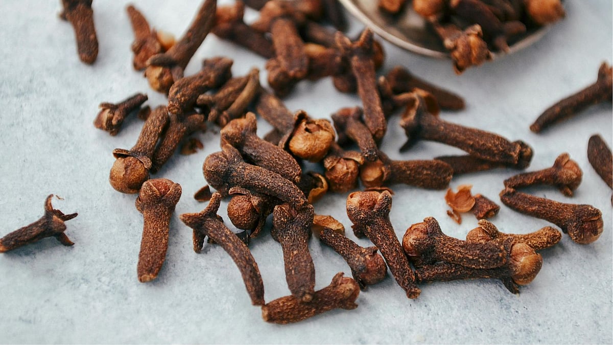 Clove production in Tamil Nadu plummets; price rises to Rs 1,000 per kg
