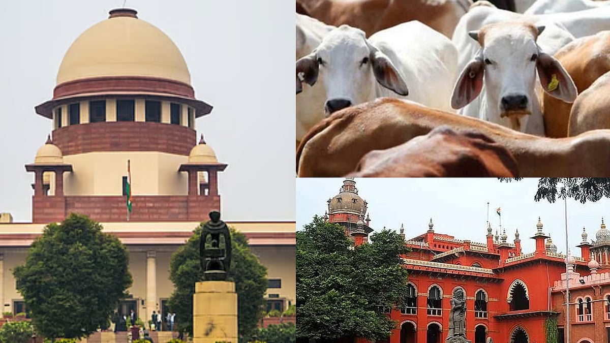 Tamil Nadu govt moves SC against Madras HC order banning cow slaughter