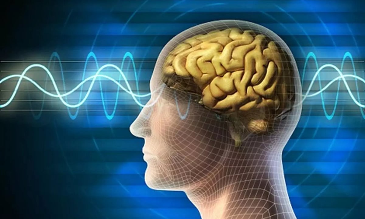 COVID-19 can cause brain cells to fuse, study finds