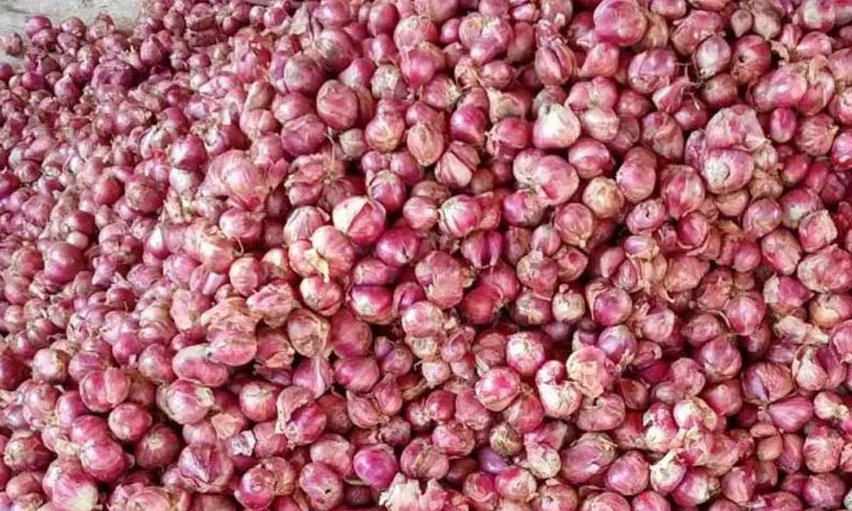 Now small onions too burn hole in pockets; sold at Rs 230 per kg in Chennai