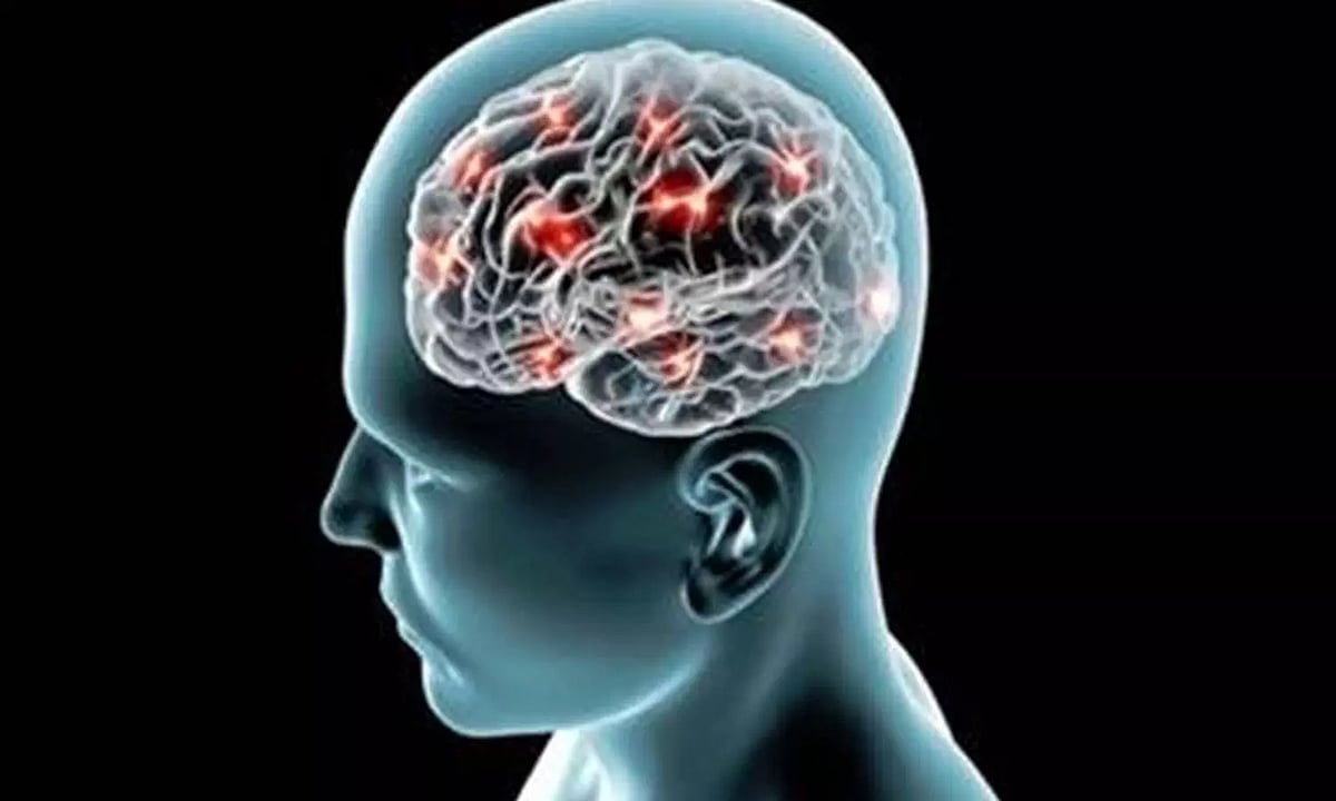 Anxious people use less suitable section of brain to control emotions ...