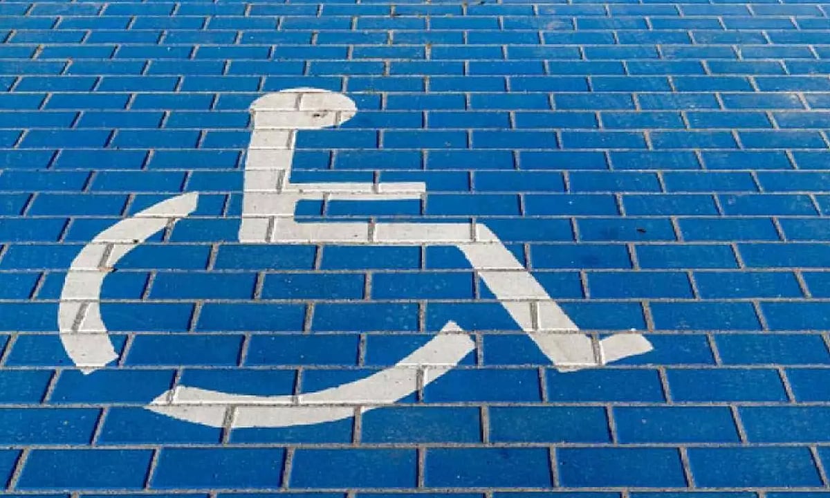 NPRD demand disabled friendly election manifestos