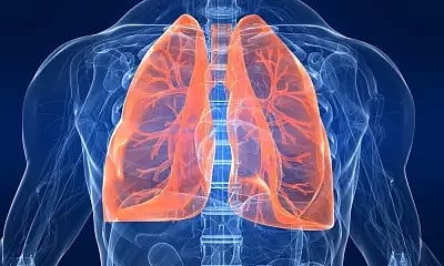 Explained: How lung cells induce immune response to flu