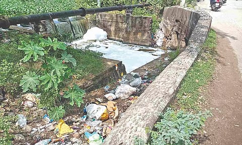 Putheri Lake is not polluted: TNPCB