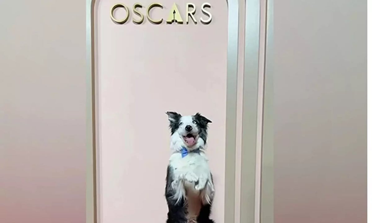 Oscar Nominees Luncheon 2024: Dog from 'Anatomy of a Fall' grabs eyeballs