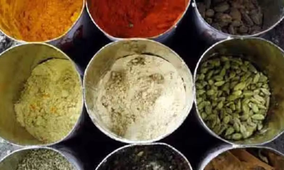 India’s spices exports hit record $4.46 billion in FY24, red chilli up ...