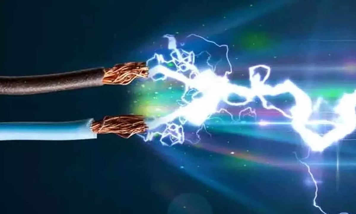 26 sheep electrocuted in house in Maduranthagam