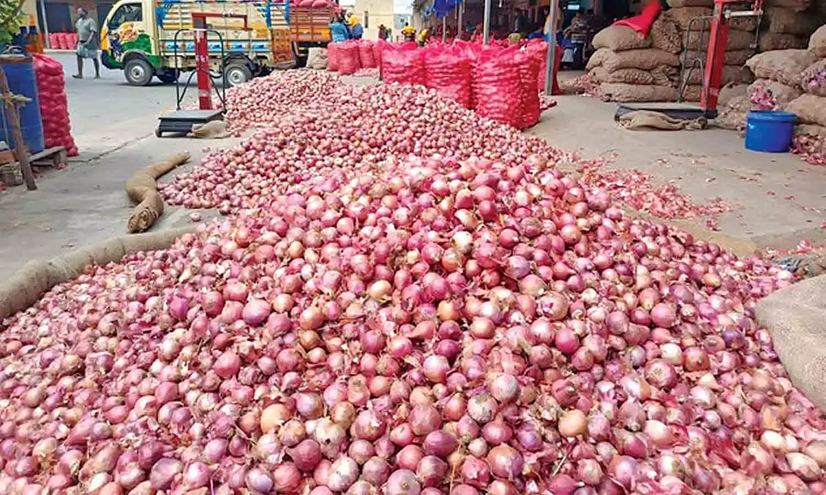 Centre steps in, sends onion from Nashik to TN to keep price stable ...
