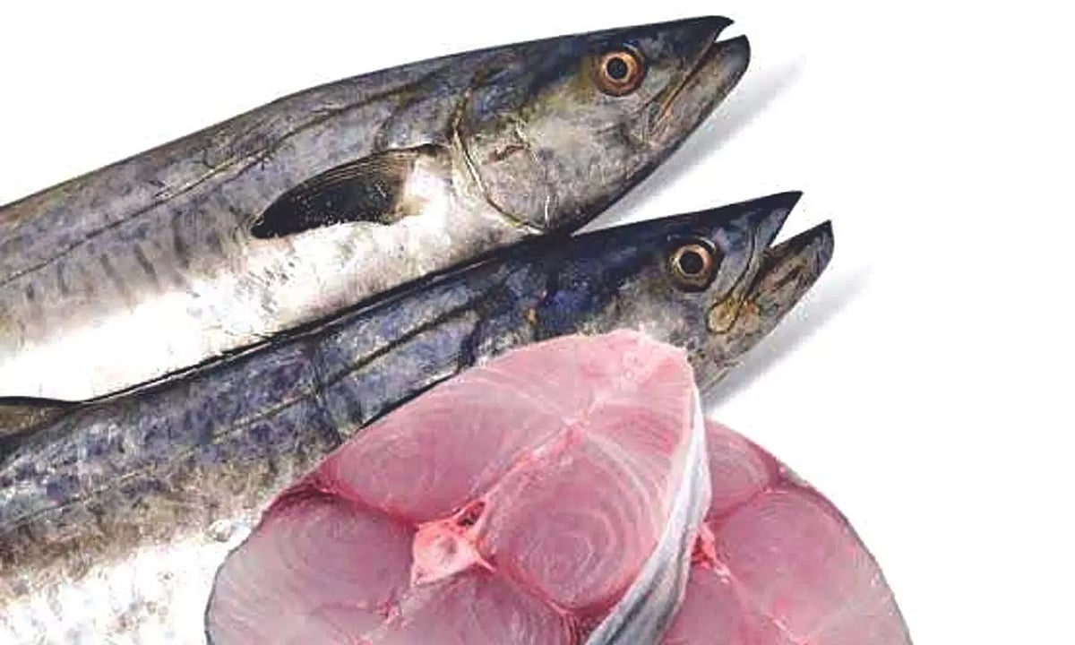 Less bite to fish curry after rates spike by 15% at Kasimedu market