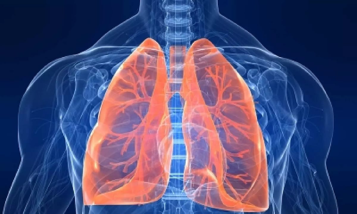 World Lung Day: Why non-smokers equally at risk for respiratory diseases