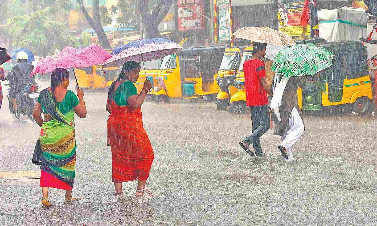 Northeast monsoon 2024: Tamil Nadu receives 3% above normal rains, but ...
