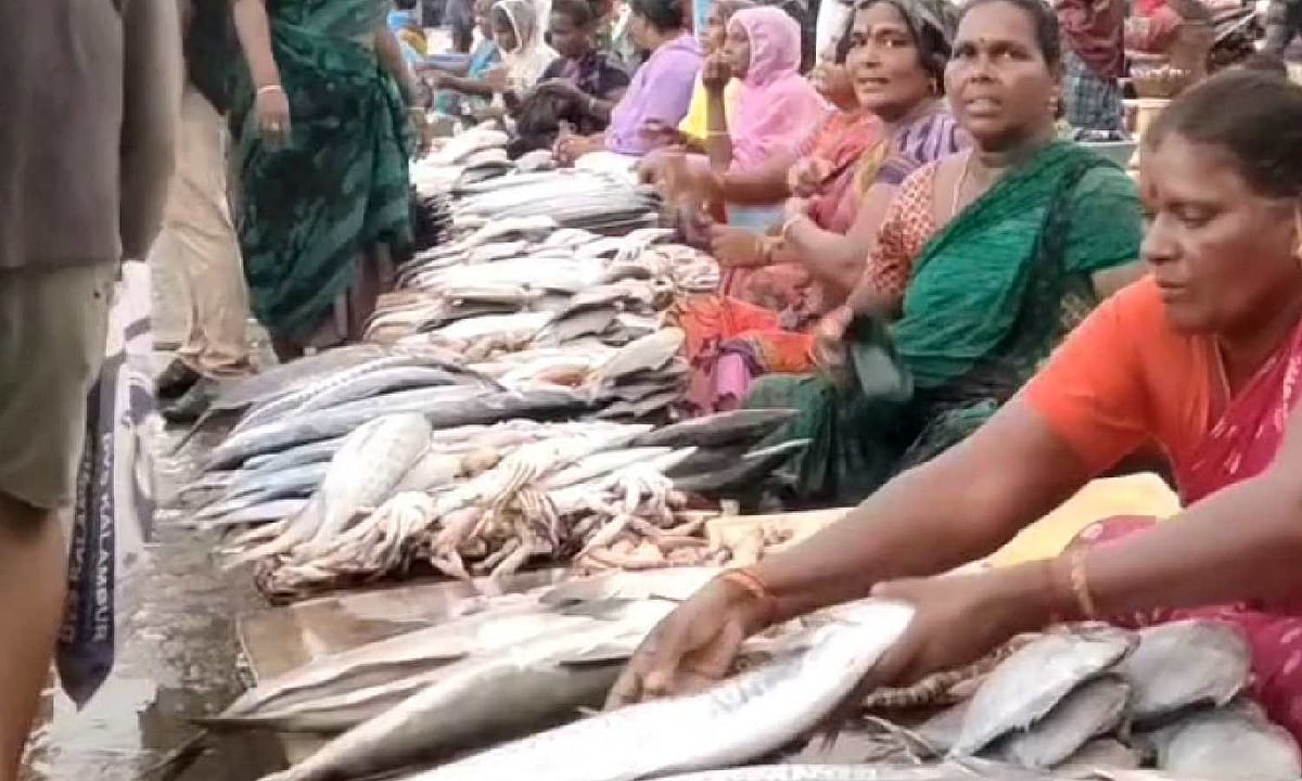 Chennai: Fish prices surge as fishing ban to begin on April 15