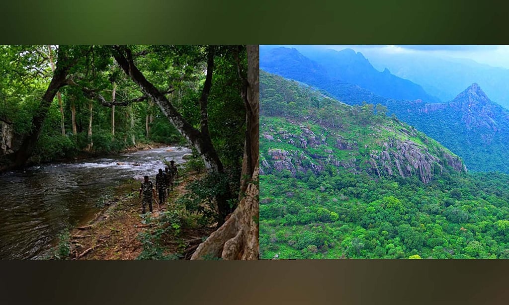 Trek along these 40 green trails in Tamil Nadu!