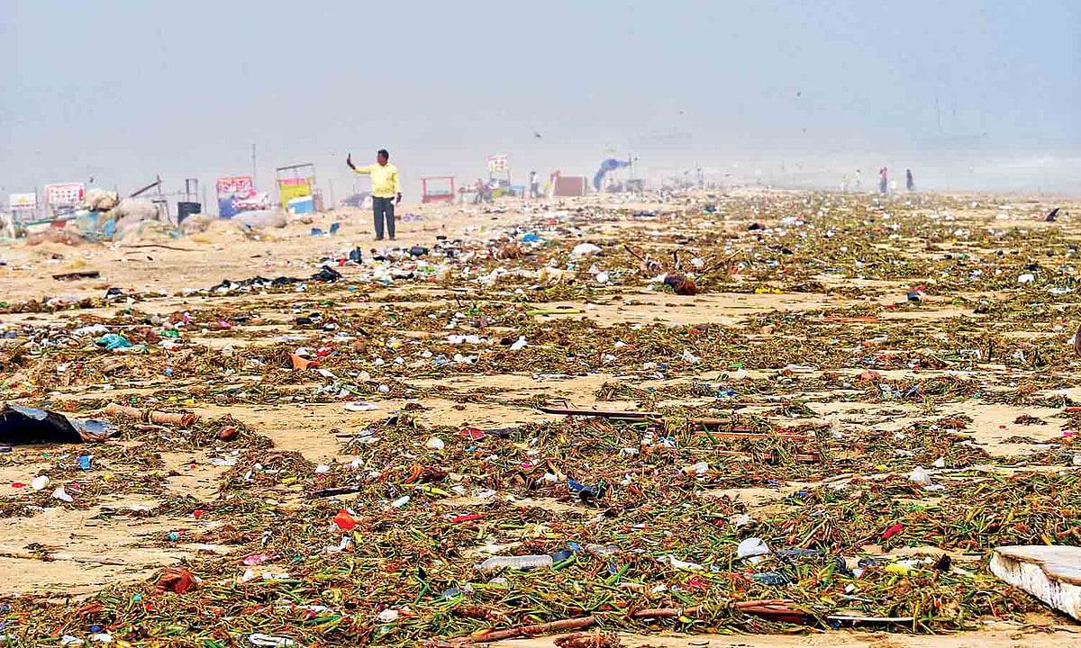 Cyclone Fengal: Over 7,800 MT garbage, debris cleared from Chennai