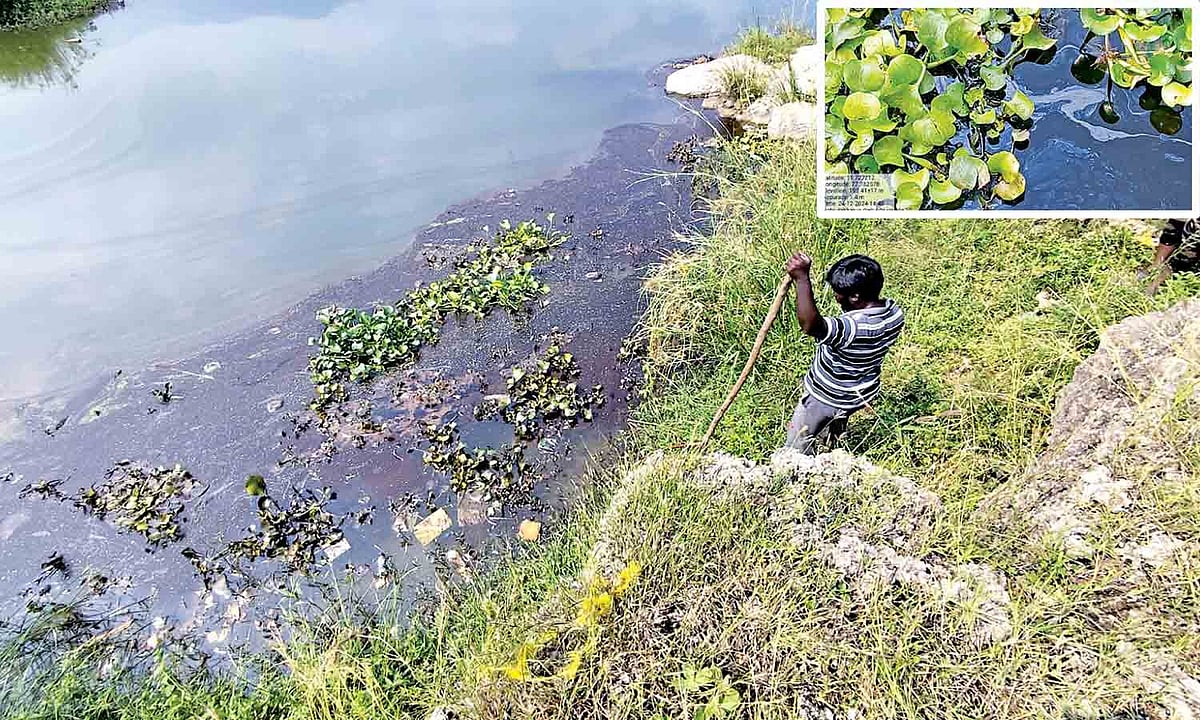Oil spill from Mettur plant spreads deeper into Cauvery, raises safety ...