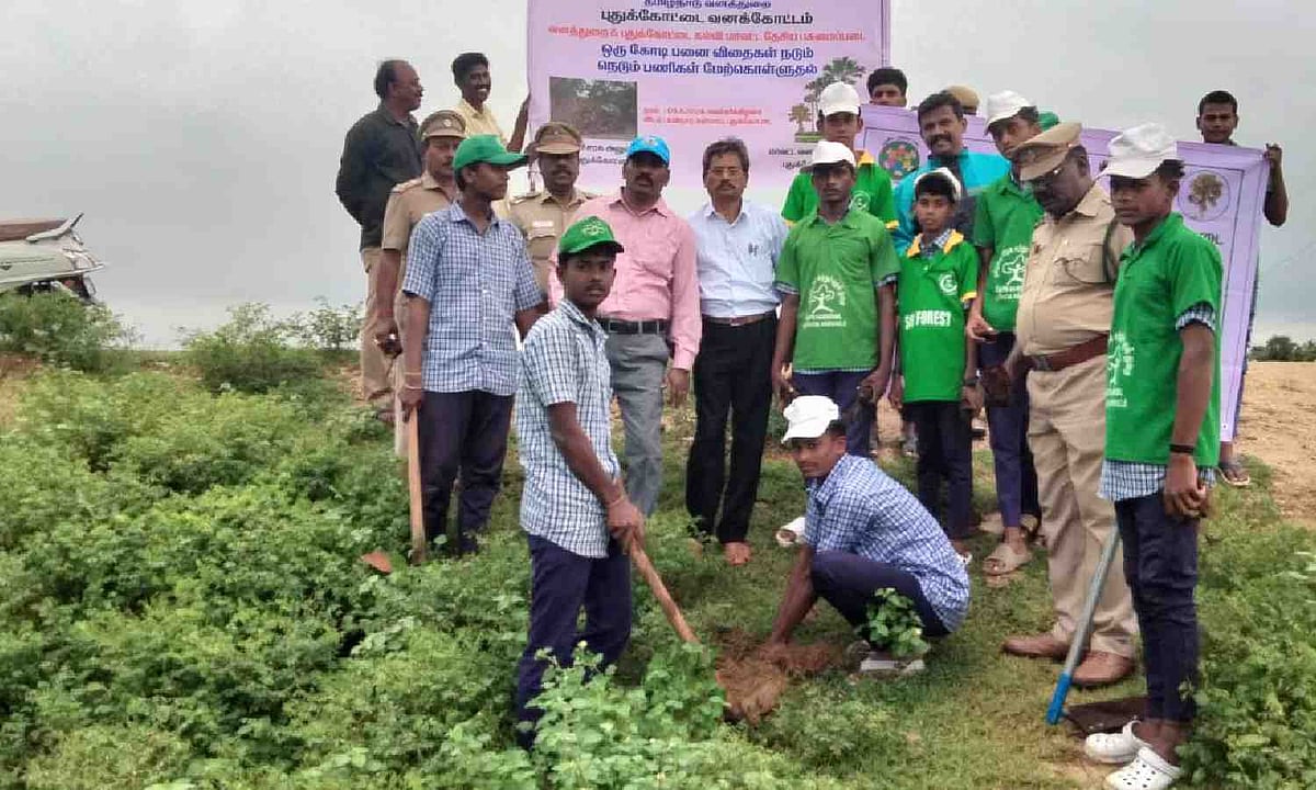 Environmentalists welcome new eco clubs but seek to bolster existing ones