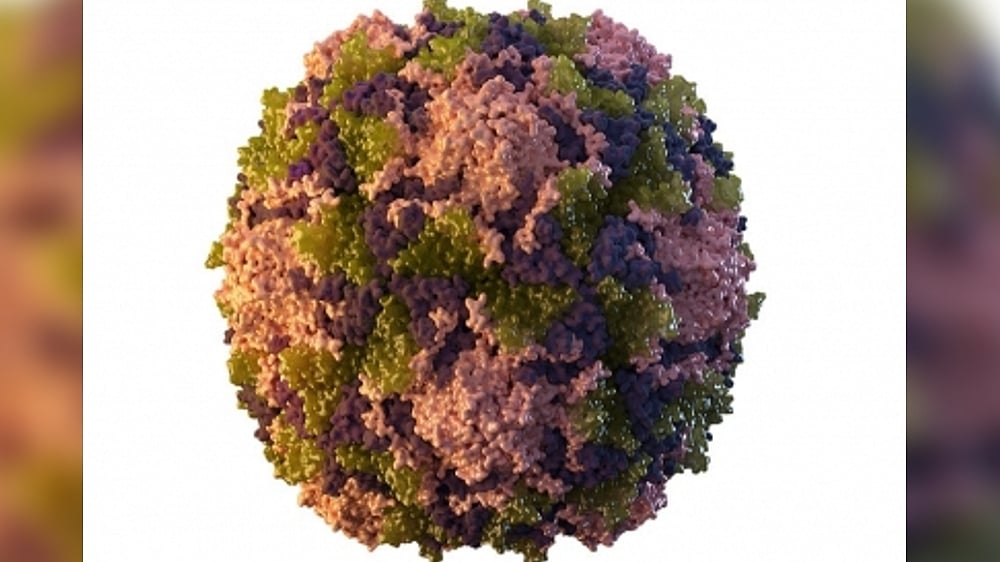 Poliovirus detected in environmental samples from 3 Pak cities