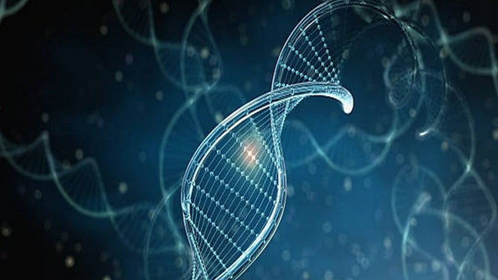 Large-scale DNA study reveals genetic links to height