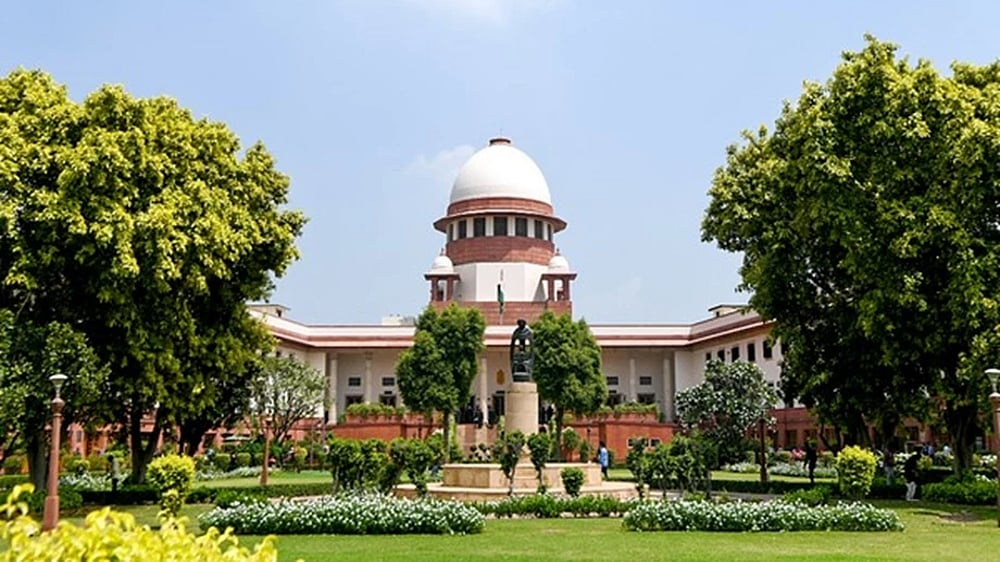 Keeping stray dogs does not mean, you will affect lives of people: SC