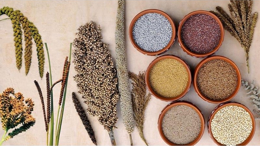 Top 3 winter millet recipes for children