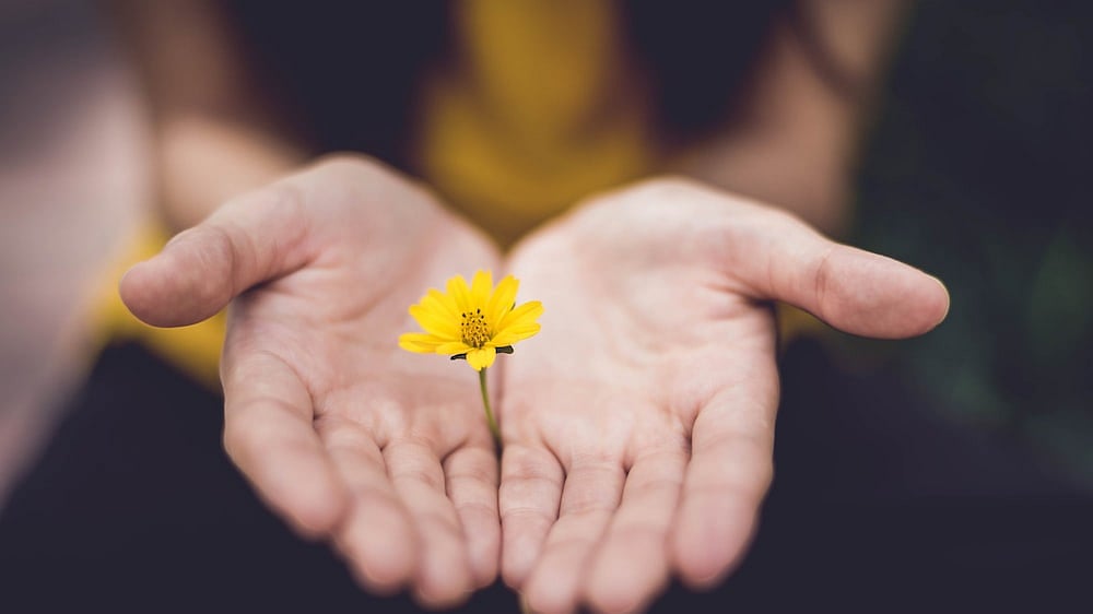 Gratitude has stress-busting effects: Research