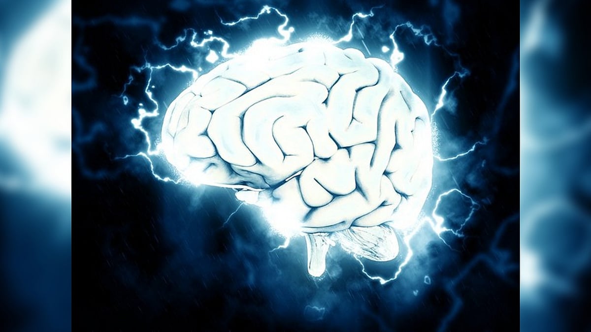 'Neurons responsible for behavioural problems caused by chronic stress'