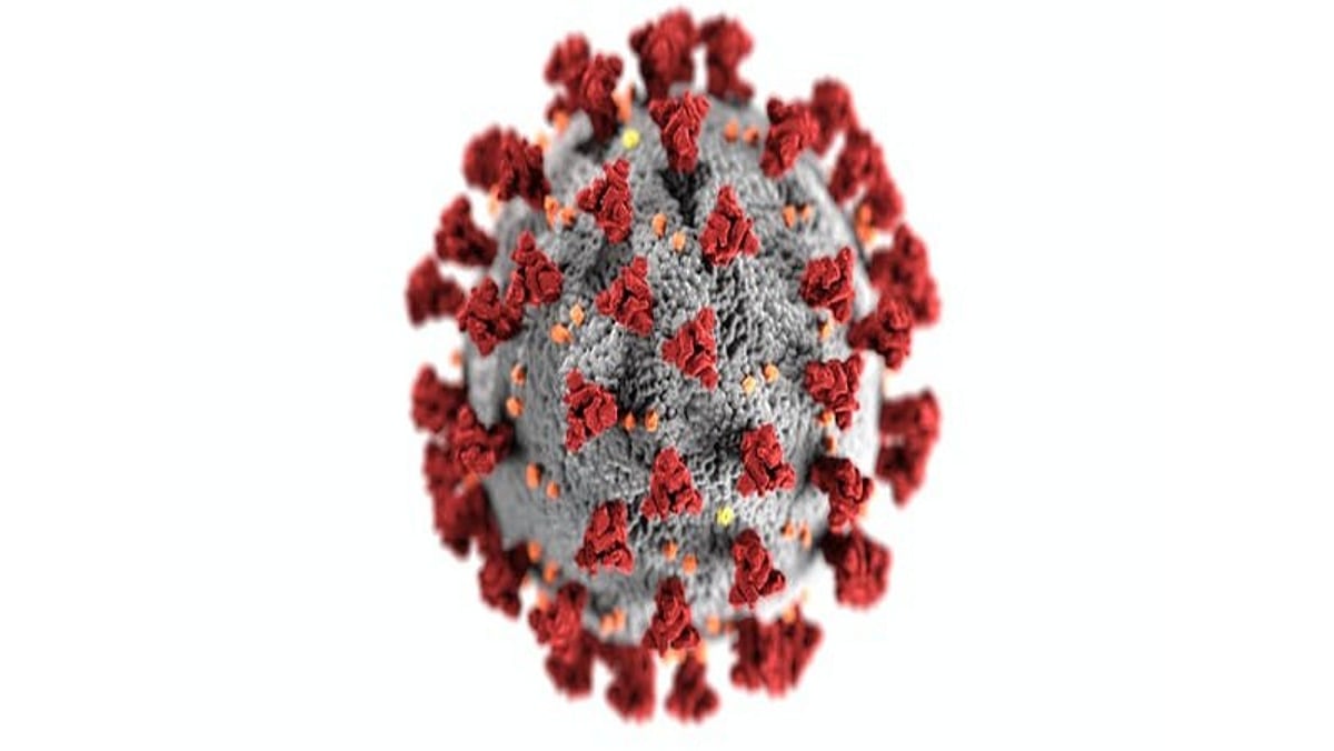 New Covid-origins study hints at spillover : Scientists