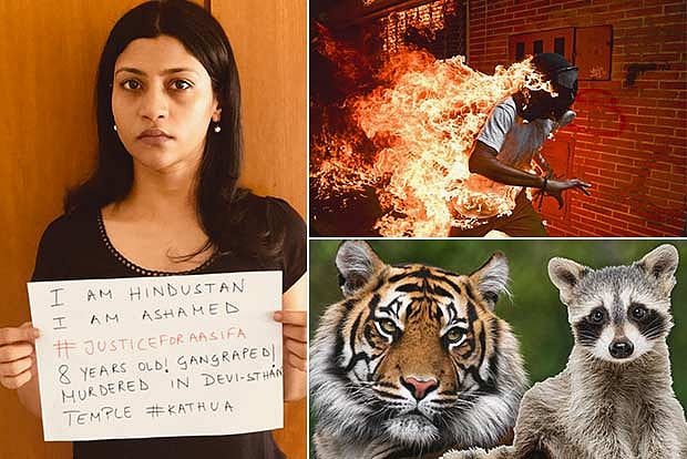 Trending in TN: Kathua rape case, 'Tiger' racoon and Photo of the year ...