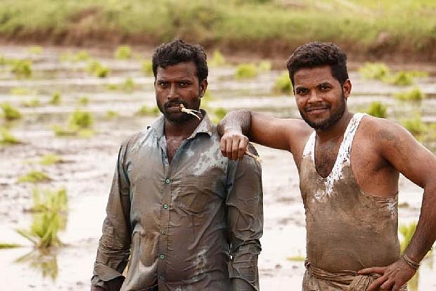 Farmer, budding actor a viral sensation after Desi 'Kiki dance ...