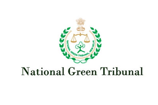 NGT stays tree felling for redevelopment project in South Delhi till ...