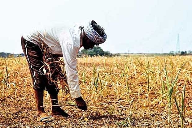 Maharashtra Council adjourned for the day amid din over farmers' issues