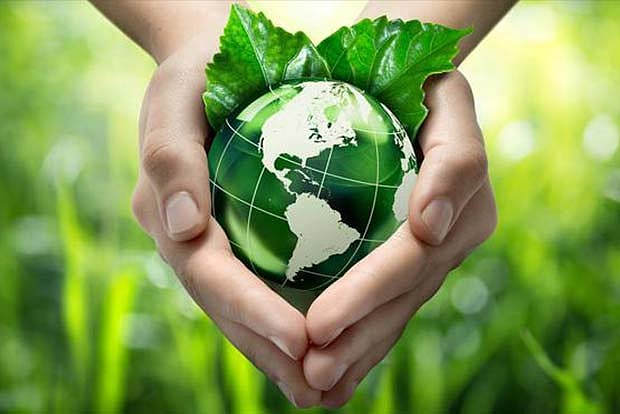 Educating people for a greener future