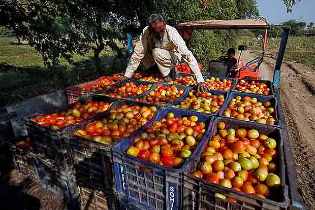 Ujjivan banks on rural growth, to open over 50 branches this year