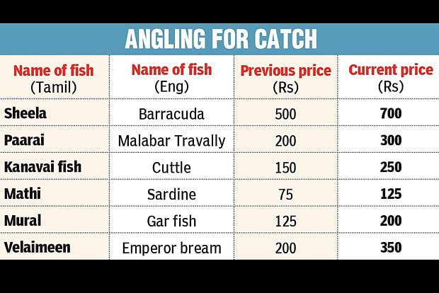 Ban sparks spike in fish prices, country boat fishermen happy