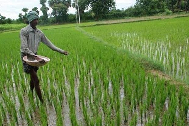 Extend crop premium deadline: PMK